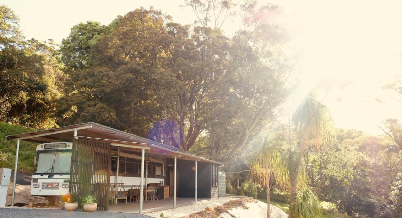 Unique and Eco Northern Rivers Holiday Accommodation in the Rainforest ...