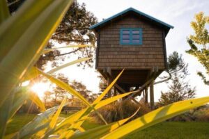 Best List of Unique Accommodation Bay of Plenty - Staytopia